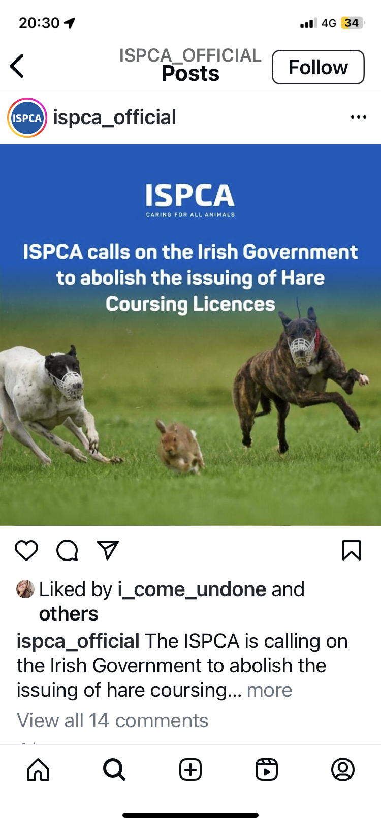 ISPCA calls on the Irish Government to abolish the issuing of Hare ...